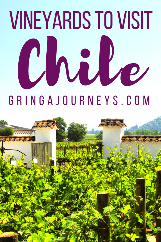 4 VINEYARDS IN CHILE THAT ARE CLOSE TO SANTIAGO
