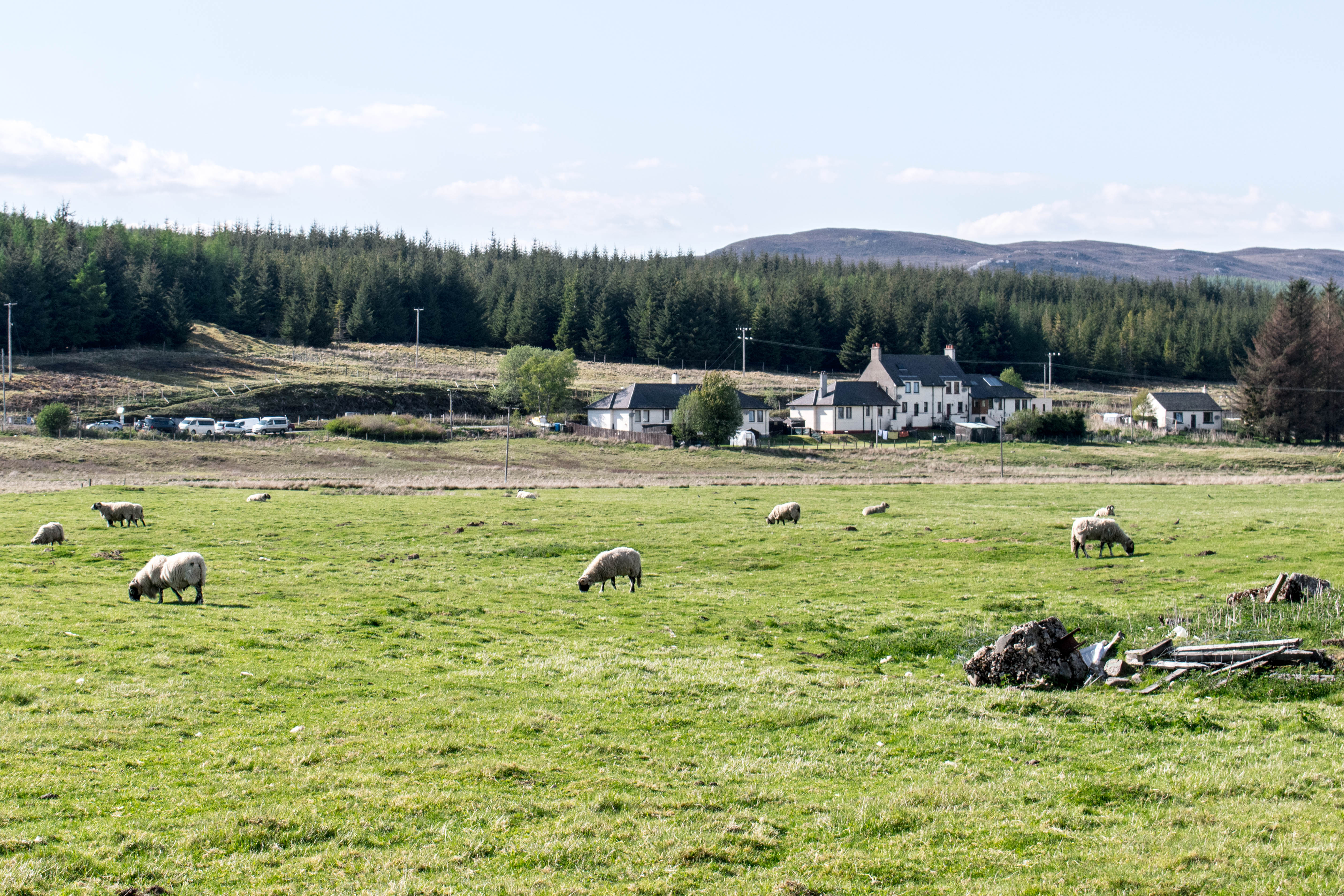 THE BEST ONE-DAY SCOTTISH HIGHLANDS TOUR (WITH RABBIE'S)