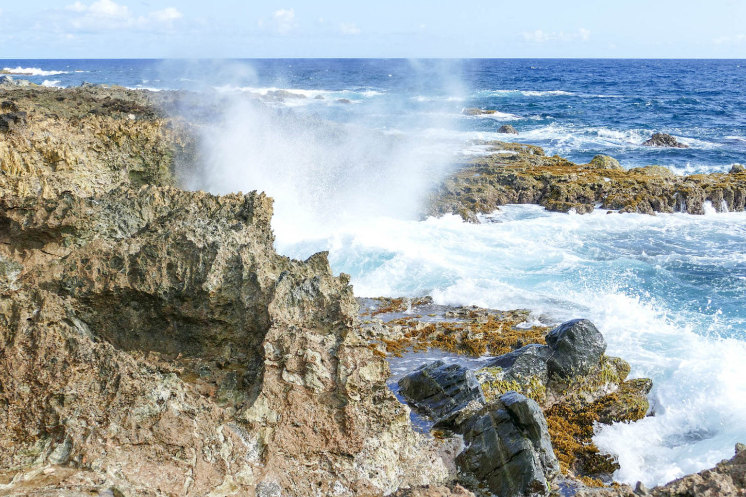 Aruba Travel Tips: 10 Things to Know Before Visiting Aruba
