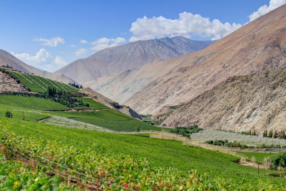 20 Interesting Facts About Chile You Might Not Know