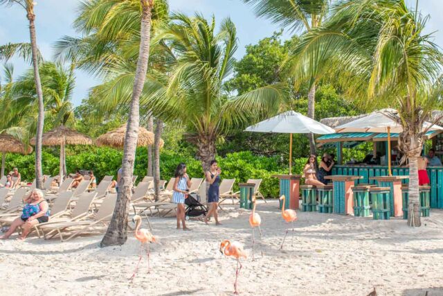 How to Visit Flamingo Beach Aruba: Day Passes, Cost, & Pro Tips