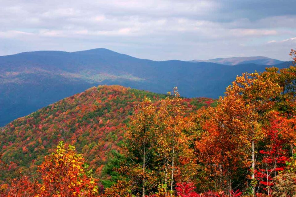 The 16 Most Beautiful Places to See Fall Foliage in Georgia