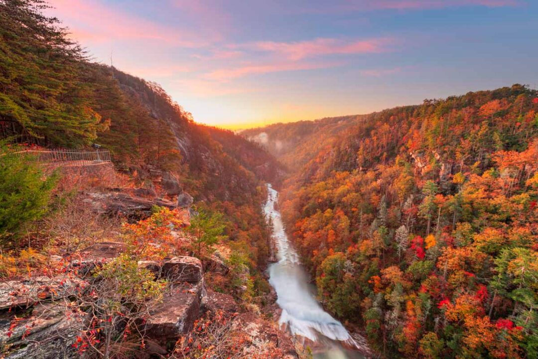The 16 Most Beautiful Places to See Fall Foliage in Georgia