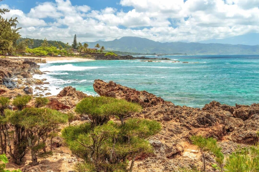 The 10 Best Beaches on the North Shore of Oahu, Hawaii