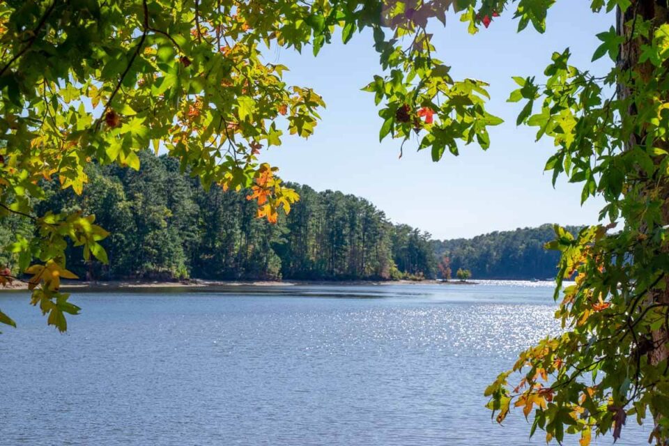 The 16 Most Beautiful Places to See Fall Foliage in Georgia