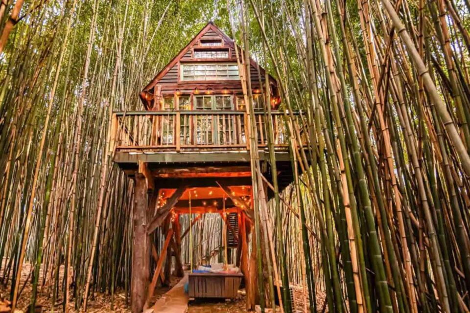 24 Treehouses in Georgia You'll Want to Book in 2024
