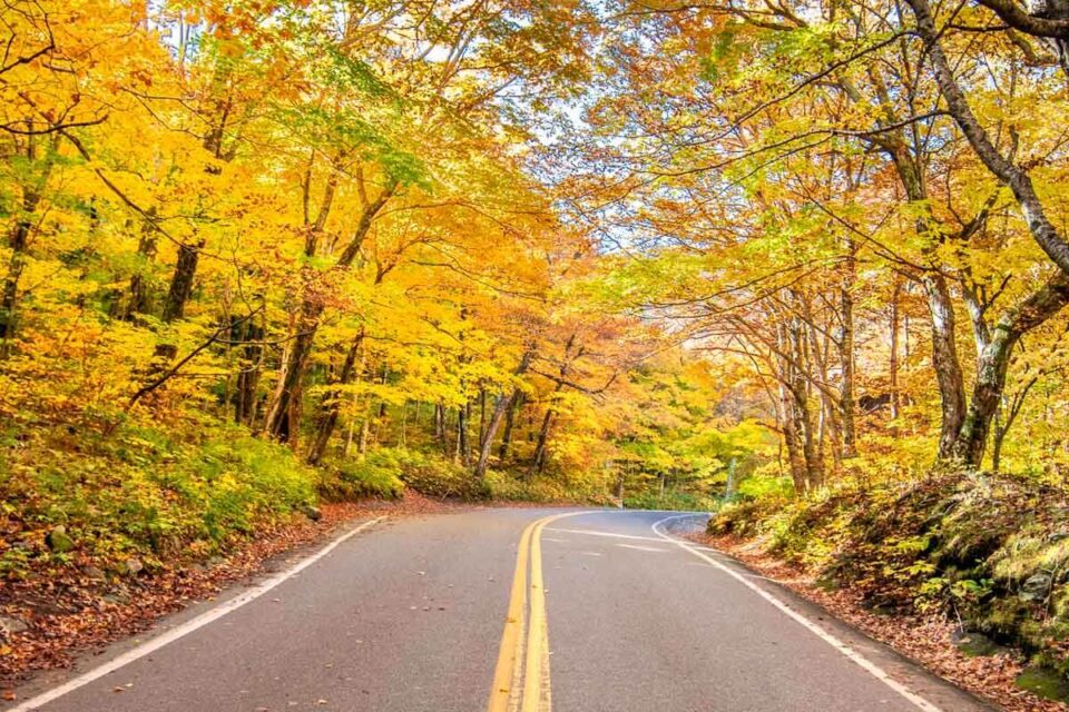 The 14 Best Things to Do in Vermont in the Fall - Gringa Journeys