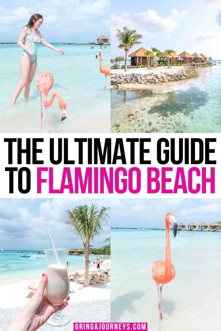 Flamingo Beach Aruba: Day Passes + Is It Worth It?