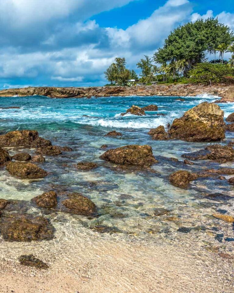 15 Best Things to Do on the North Shore of Oahu